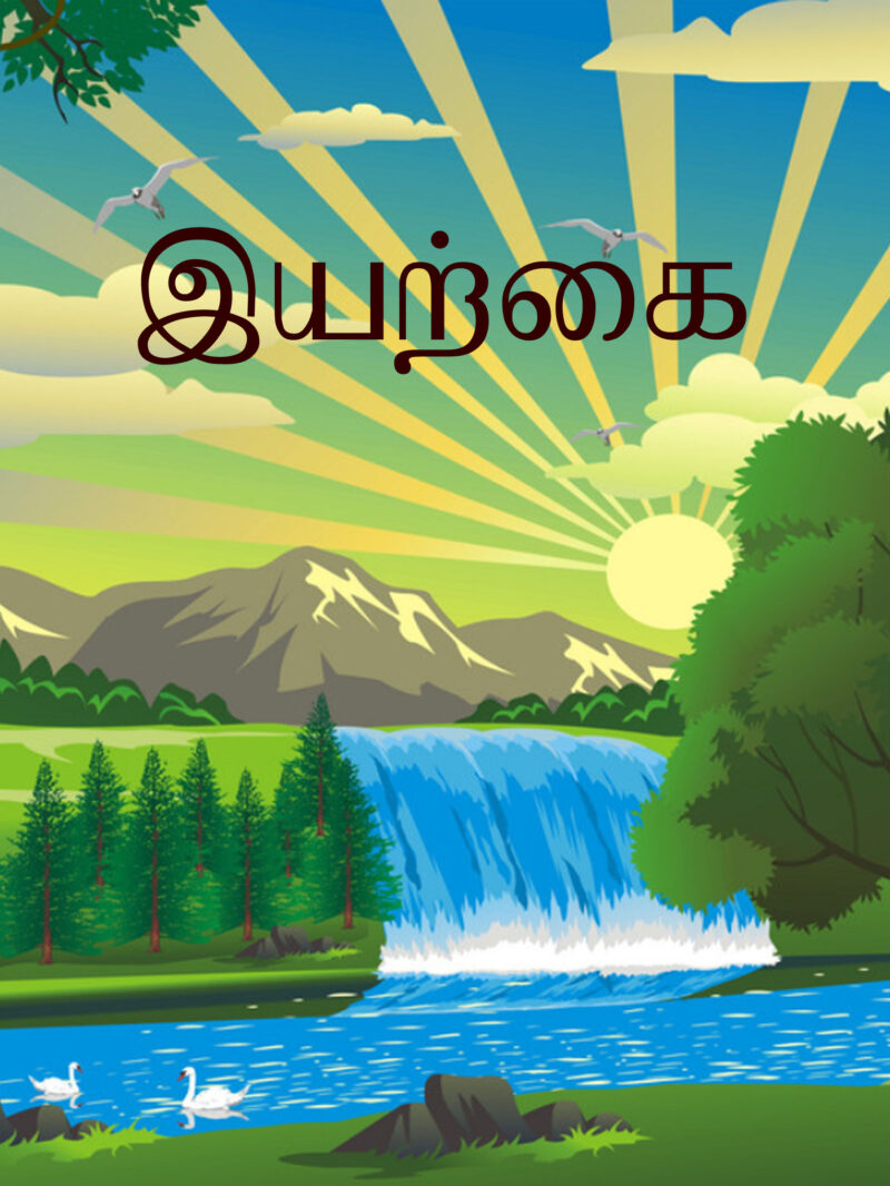 Gallery – Tamil Picture Books