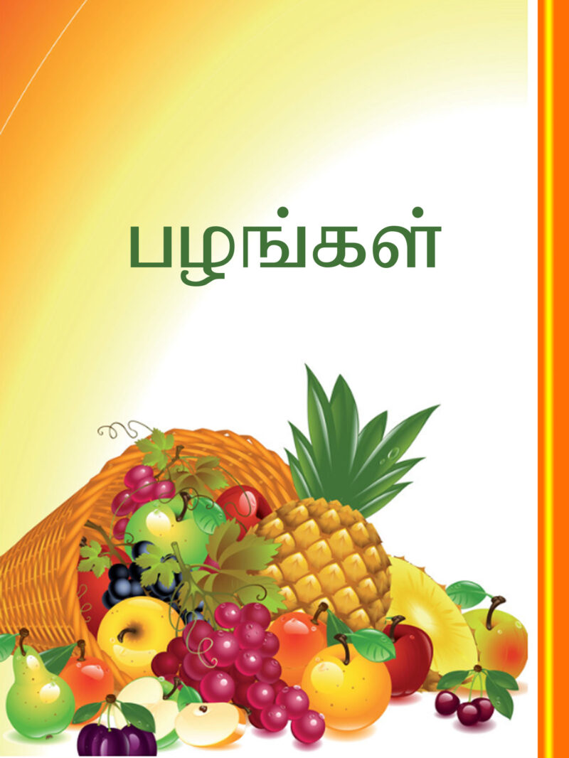 Gallery – Tamil Picture Books